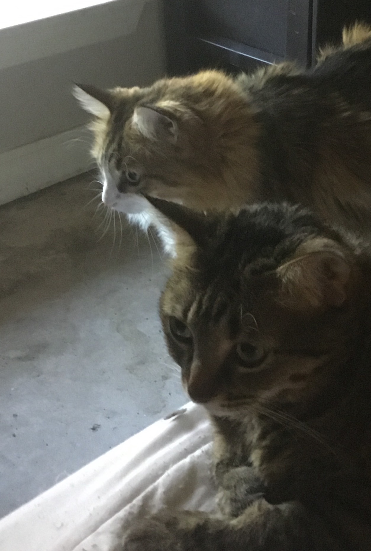 RJ KNIGHT.. PHOTOS.. – RJ KNIGHT