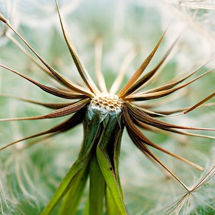 RJ KNIGHT.. THINK – RJ KNIGHT