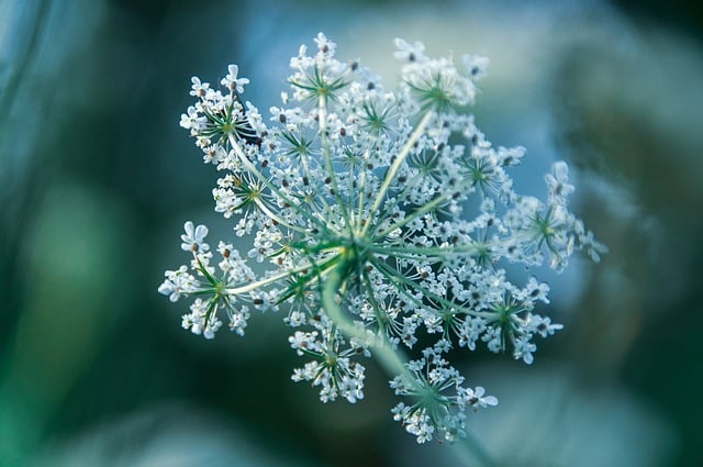 RJ KNIGHT.. PEACE 💠 – RJ KNIGHT